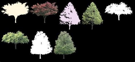 Trees Collection 7 Tif Opacity 2d Tif Plan