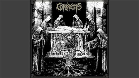 Predatorial Existence Youtube