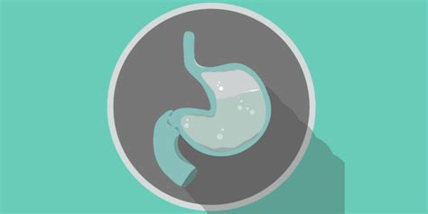 Eritritol O Stevia ¿qué Es Mejor Equivalencias Y Comparaciones