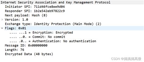 Ipsec中ike与isakmp过程分析（主模式 消息5和消息6）抓包分析isakmp协商过程 Csdn博客