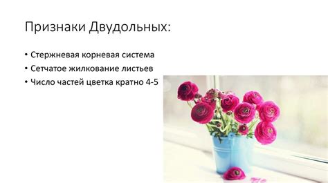 Класс Двудольные основные семейства презентация онлайн