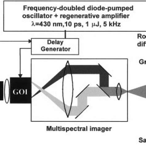 Setup For Wavelength Resolved Fluorescence Lifetime Imaging With Download Scientific Diagram