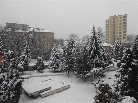 Спокойно снег за окнами кружится Светлана Борщ Проза ру