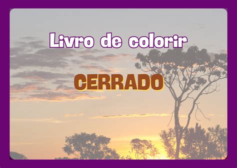Livro De Colorir Cerrado Ludisciência Educacional