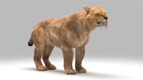 Smilodon Populator 3d Model 99 Max Free3d