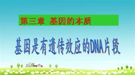 人教版必修二高中生物第三章基因的本质第4节基因是有遗传效应的dna片段课件word文档在线阅读与下载无忧文档
