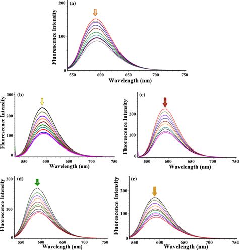 Quenching In The Fluorescence Spectra Of Ct Dna Bound Ethidium Bromide Download Scientific