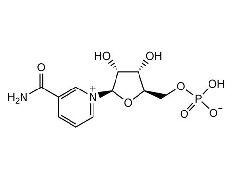 β Nicotinamide Mononucleotide Stemcell Technologies