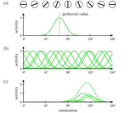 1 Derivation Of Continuous Activation Distributions From Neural Tuning