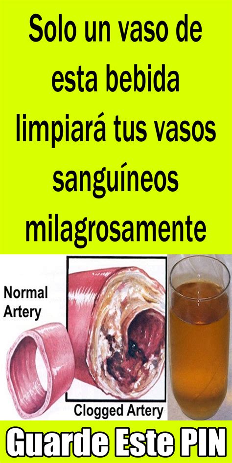 Remedios Caseros Para Limpiar Tus Vasos Sanguíneos De Manera Efectiva ️