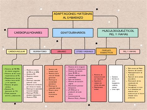 Cambios Fisiológicos Del Embarazo Esquemas Y Mapas Conceptuales De