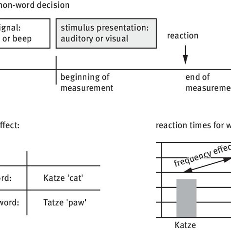 Exemplary Set Up For A Cross Modal Priming Experiment Download