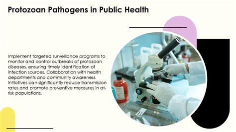Protozoan Pathogens In Public Health Protozoa Pathogens Ppt Mockup Acp