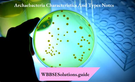 Archaebacteria Characteristics And Types Notes Wbbse Solutions