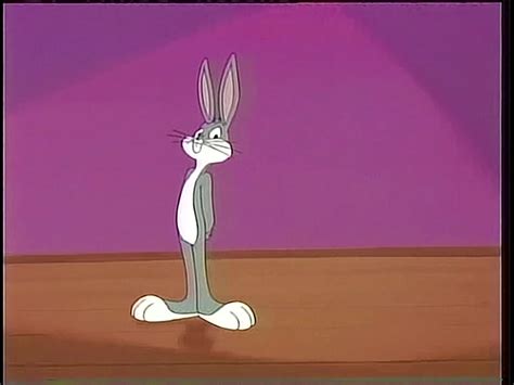 The Bugs And Daffy Show Intro 1998 Hq Wb Frys Video Archives Free Download Borrow