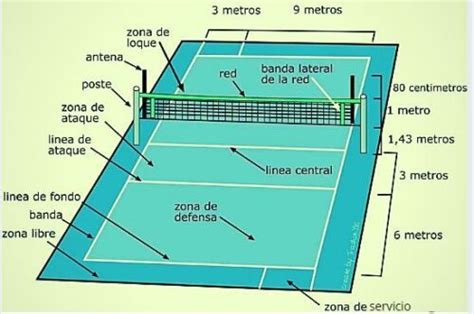 Cuánto mide la red de voleibol Descubre las dimensiones exactas aquí