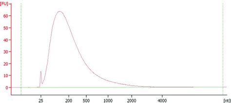 E 8 1 Typical Ffpe Total Rna On An Agilent 2100 Bioanalyzer The Small