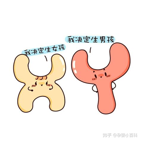 如何才能生男孩怎样才能生女孩时机姿势都很重要 知乎