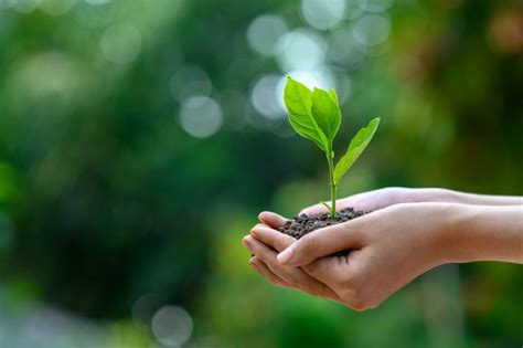 O Que é Plano De Controle Ambiental Geoambiental