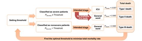 Simulation Workflow Diagram Showing How Medical Resources Can Be