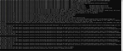 Java Spring Boot Application Stuck At Info Main Orgapachecatalinastartupcatalinastart