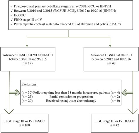 Eligibility Criteria Flowchart Depicting The Patient Selection