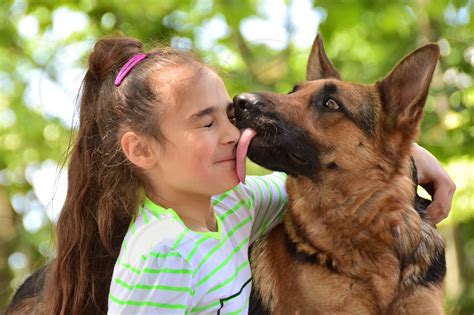 Dog Licking Girl Telegraph