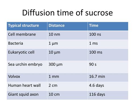Ppt Lecture 3 Diffusion How Stuff Gets Around Powerpoint