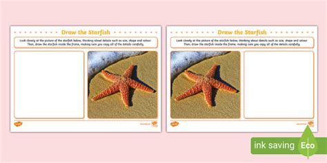 Draw The Starfish Art Activity Starfish Star Fish Twinkl