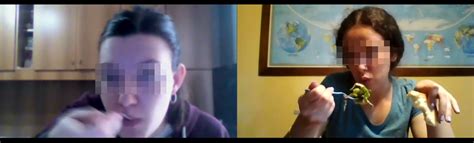 The Data Collection Setup Figure Depicts The Technical Setup Download Scientific Diagram