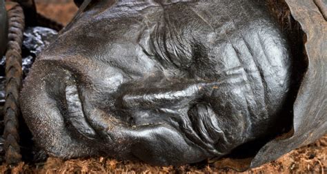 Tollund Man The Eerily Preserved Bog Body Of Denmark