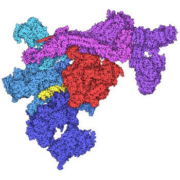 RCSB PDB Homepage