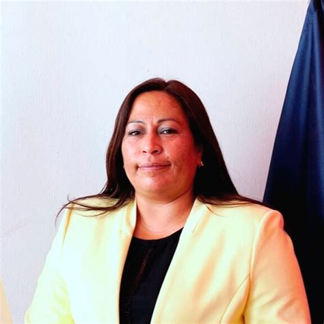 Renuncia Delegada Presidencial De Choapa Nataly Carvajal David Noticias