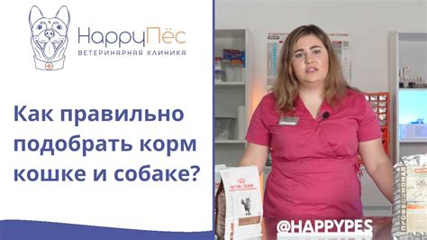 Как правильно подобрать корм кошке и собаке? - YouTube