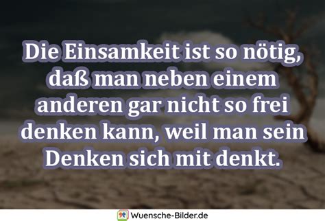 ᐅ Einsamkeit Sprüche mit Bild Zitate über Einsamkeit zum Nachdenken