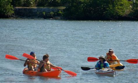 Les 5 Plus Belles Plages Autour De Tampa