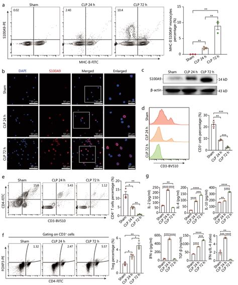 姚咏明教授团队丨脓毒症的单细胞转录组分析鉴定出具有免疫抑制功能的 Hla Drlows100ahigh 单核细胞 知乎