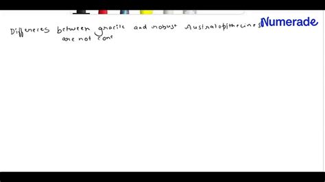 Are The Differences Between Gracile And Robust Australopithecines
