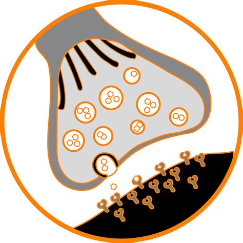 Explore 136 Free Synapse Illustrations Download Now Pixabay