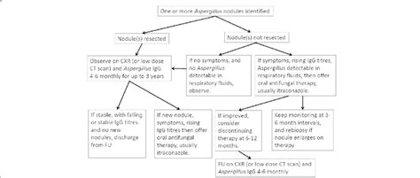 Current Management Algorithm For Aspergillus Nodules Cxr Chest