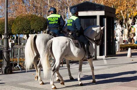 Todo lo que necesitas saber sobre los requisitos para la jubilación activa