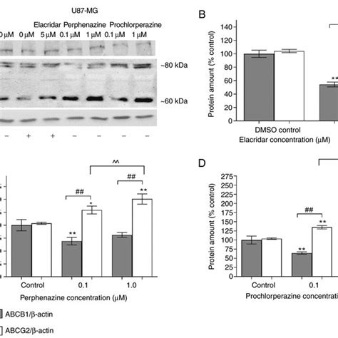 Western Blot Analysis And A Graph Of The Relative Amounts Of Selected