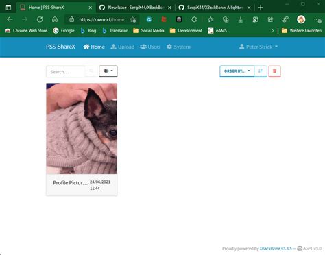 Solved Because I Am A Idiot Web Interface Settings Seem To Be Broken