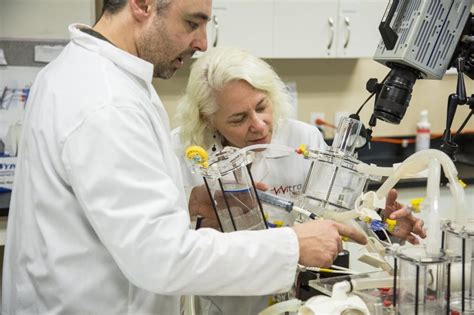 Missing Out On Cardiovascular Device In Vitro Testing Applications And