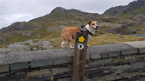 Hiking In Wales Album On Imgur