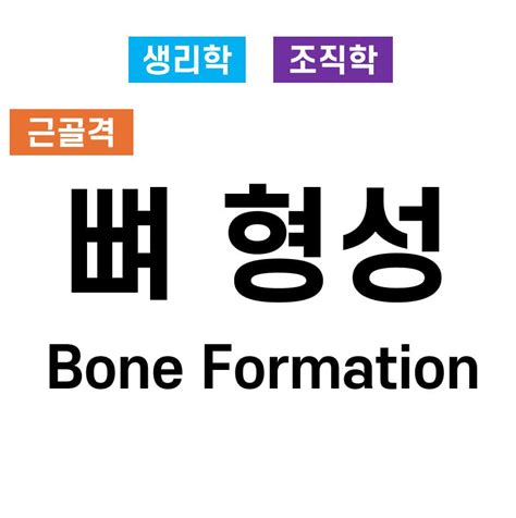 막전위의 생성원리 Membrane Potential 의학당