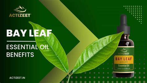 Bay Leaf Essential Oil Benefits A Comprehensive Guide