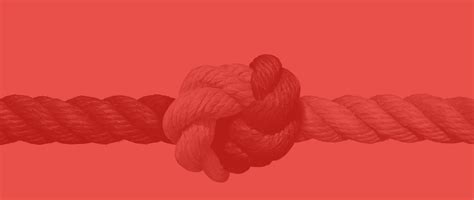 Datakwaliteit Terug Van Nooit Weggeweest Quadata