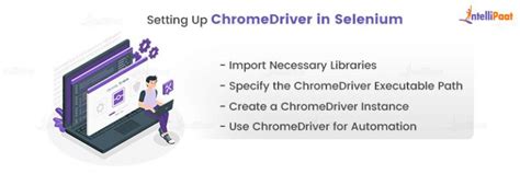 ChromeDriver in Selenium: What is it, Setup Process, Error Fix