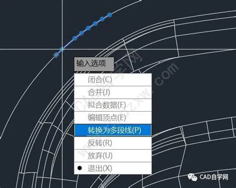 cad多段线画圆弧方向 cad样条曲线怎么转多段线或圆弧？ csdn博客